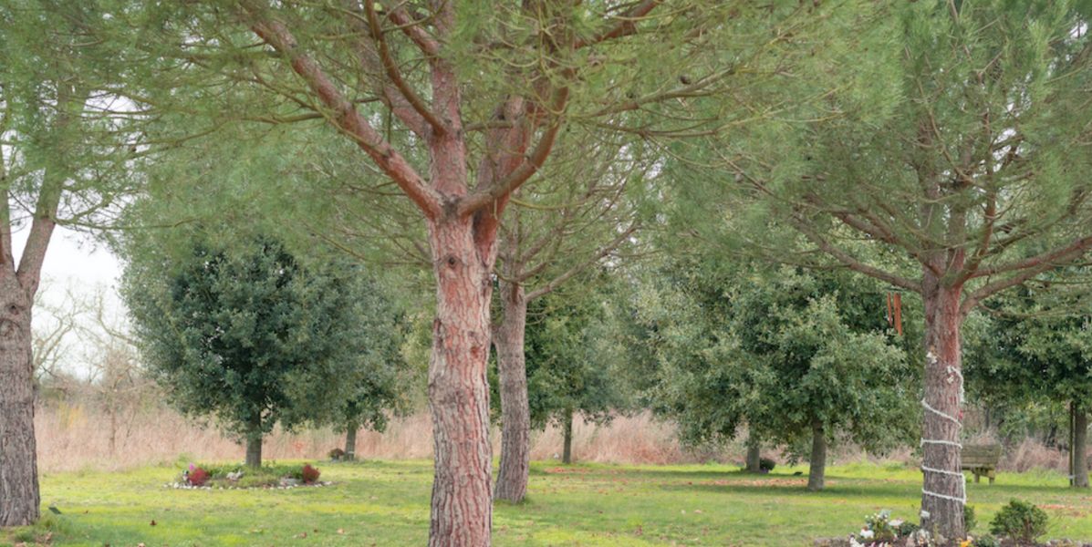 Inhumer une urne : ce qu'il faut savoir - Happy End