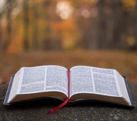 Citation souvenir : 15 phrases apaisantes à partager avec un proche en ...