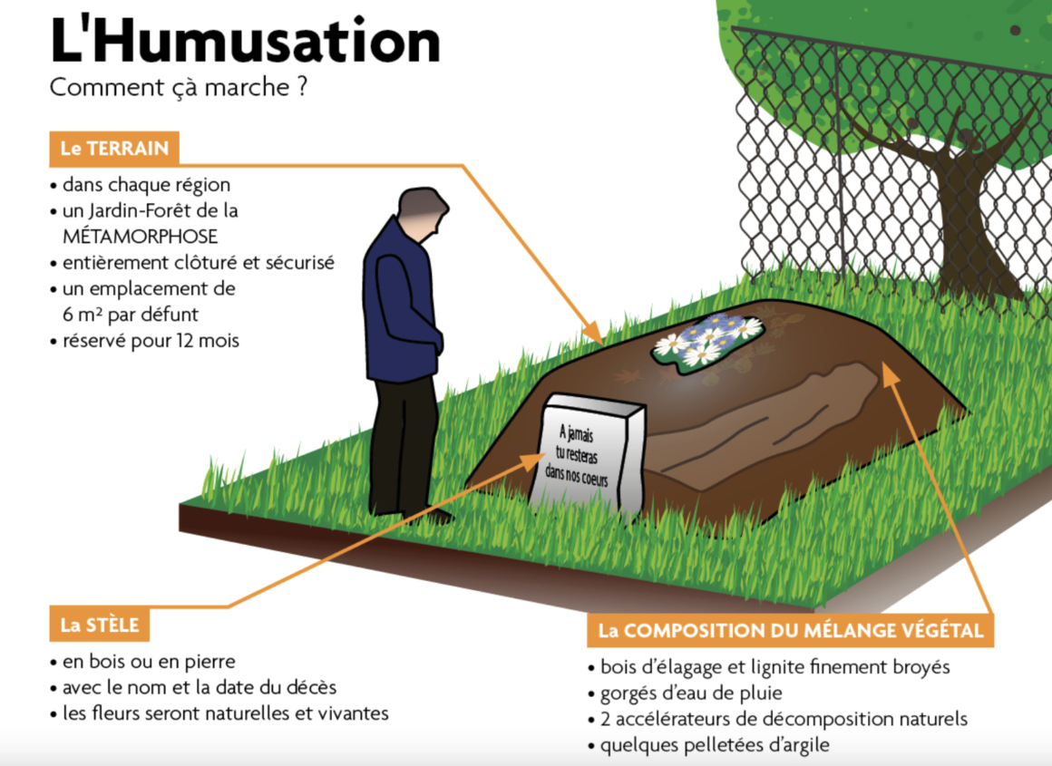 Aquamation, crémation, humusation… quelle est la mort plus écologique