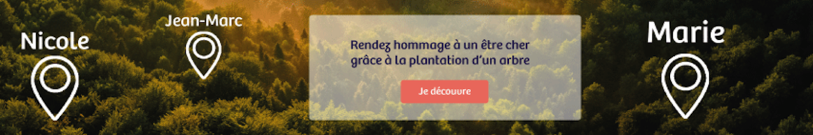 Poème deuil : 15 exemples pour soutenir un proche