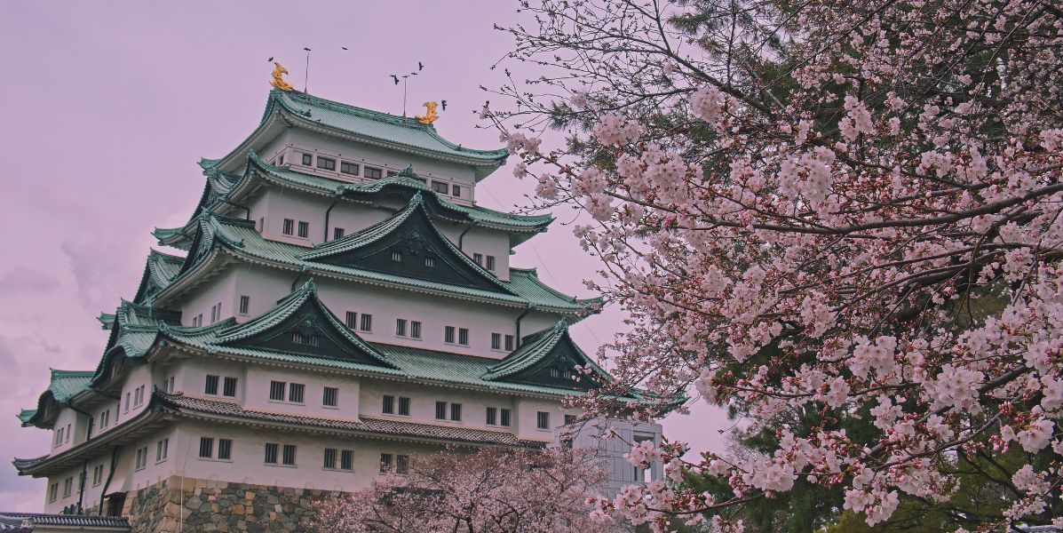 Kodokushi : ces morts solitaires qui explosent au Japon